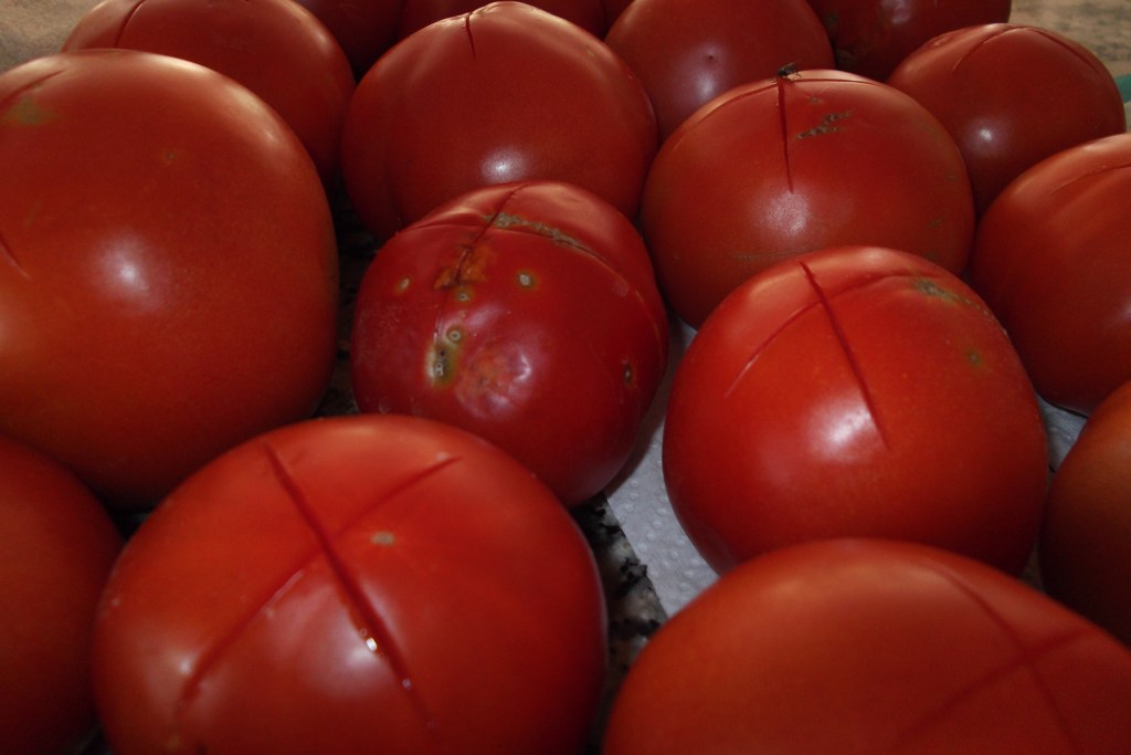 Preserved Tomatoes – Conserva de Tomates – Chica Andaluza